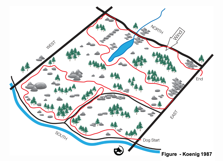 K9 Team Search Strategy for Large Areas | K9Sensus