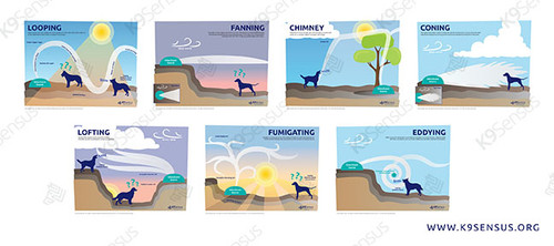 Odor/Scent Movement for Ext Environments - Personal Use | K9Sensus