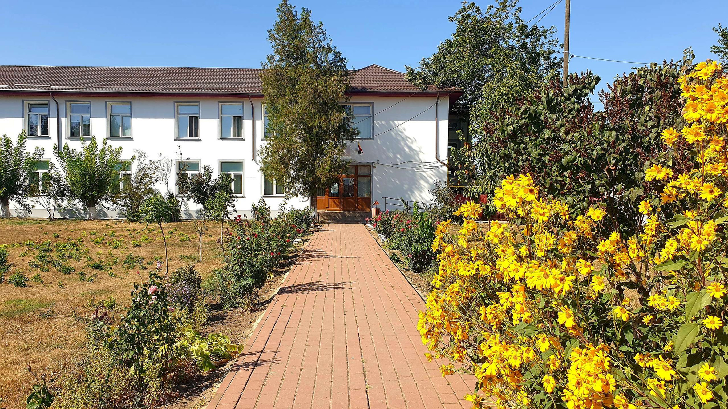 DESPRE NOI | Scoala Boldu