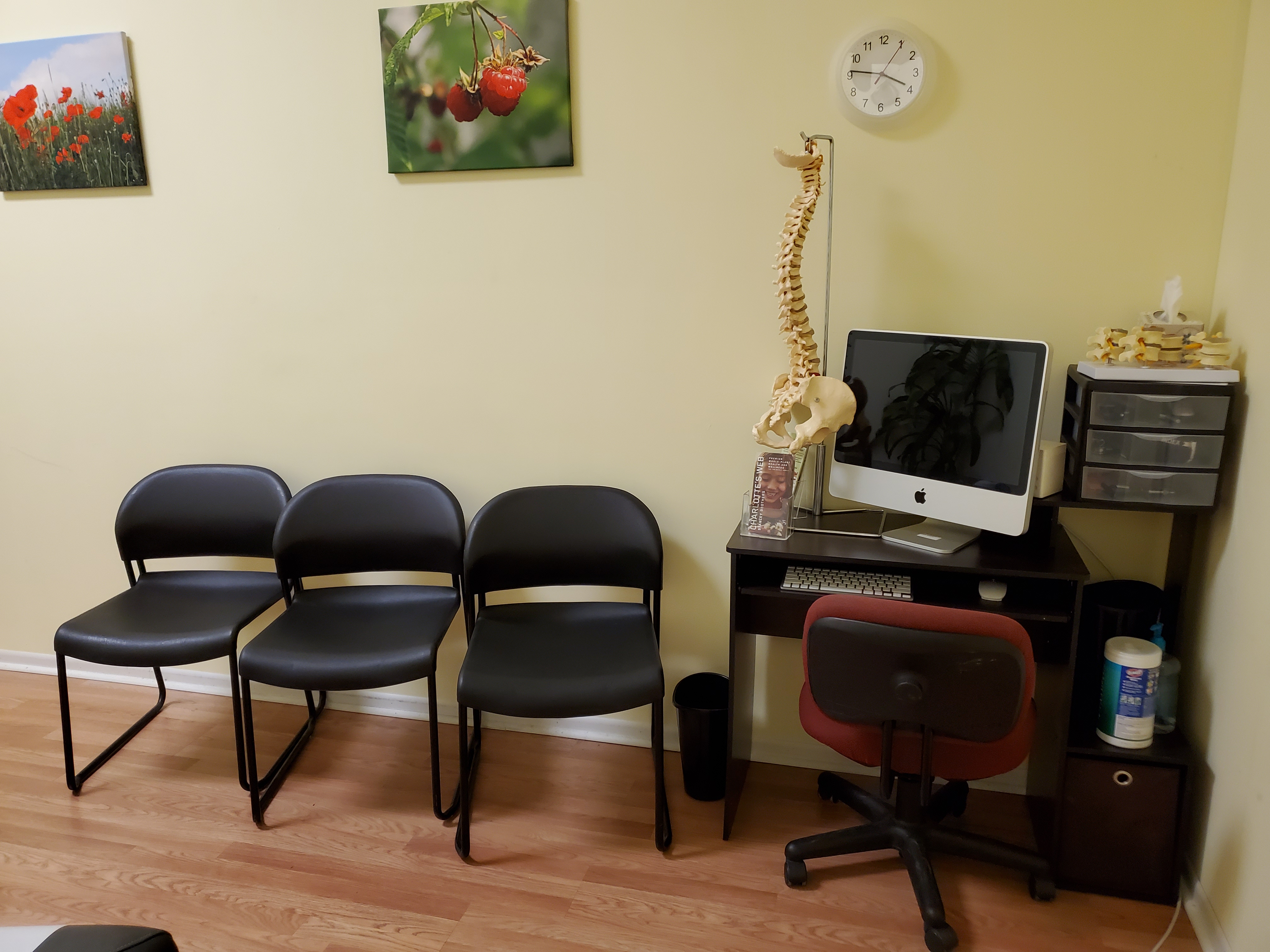 Natural Health and Wellness Chiropractic, LLC | Daytona Beach, Florida