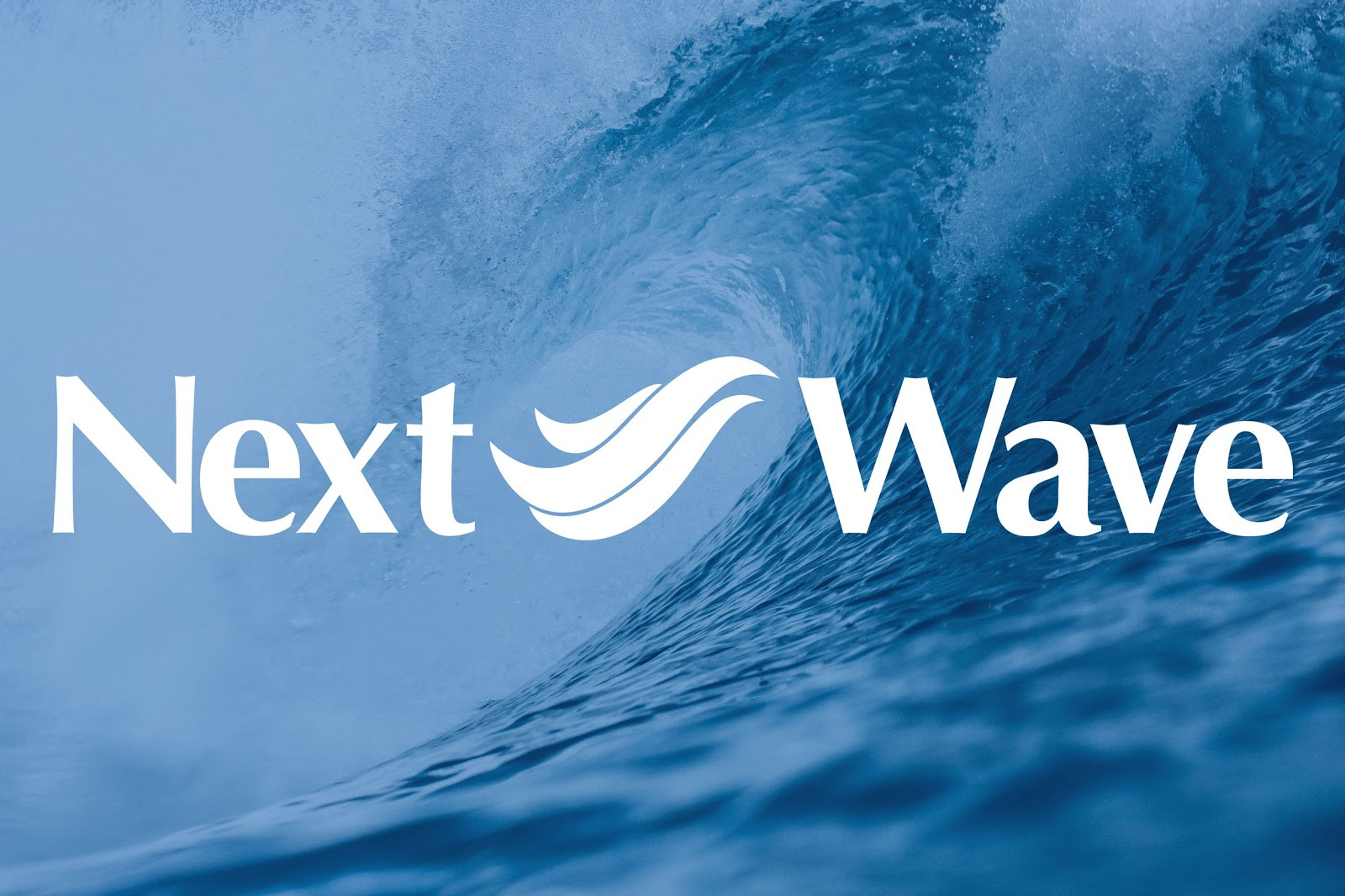 Charlotte Website Design | Next Wave Services | Charlotte, NC