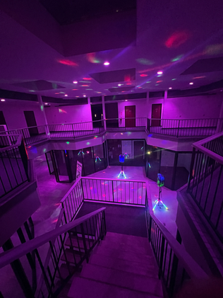 Adonis Mens Health Club | bathhouse | 2225 East Flamingo Road building ...