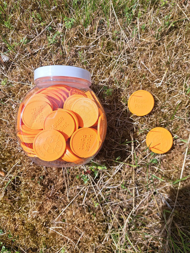 Small Jar of Orange 115 Eco House Point Embossed Tokens 35mm ...