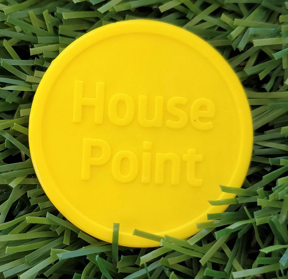 Large Yellow Eco House Point Tokens 35mm - Pack of 500 | toucospring2017