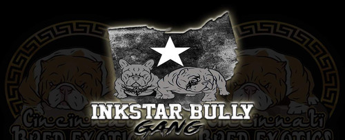 All Products | Inkstar Bully Gang