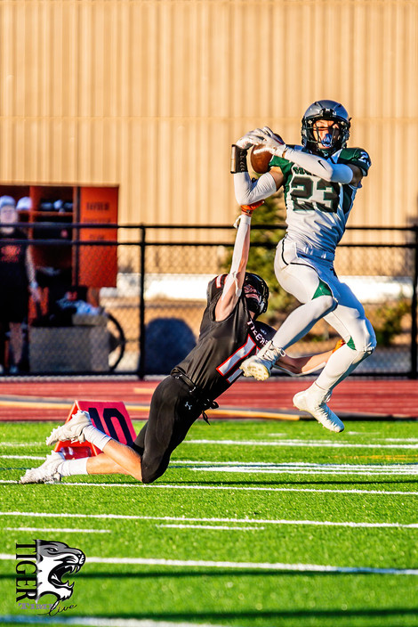 Hayden Tigers | TigerTime