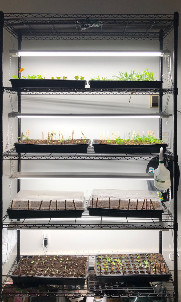 DIY Seed Starting Rack