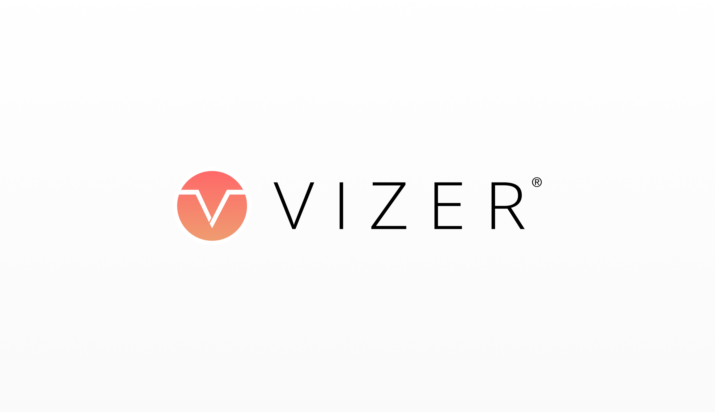 Vizer