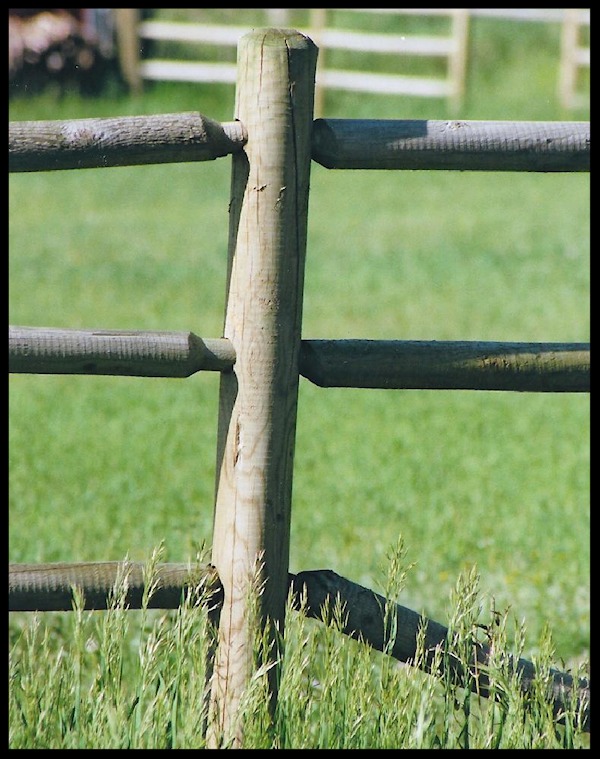 FAQ | COLORADO | MORGAN TIMBER PRODUCTS