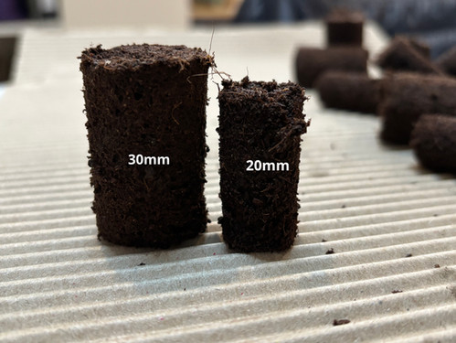 20mm Jiffy Preforma Plugs 4mm hole -Inc postage | Grow It Australia