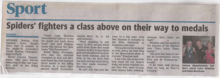 Newsletters | spiders-boxing-club