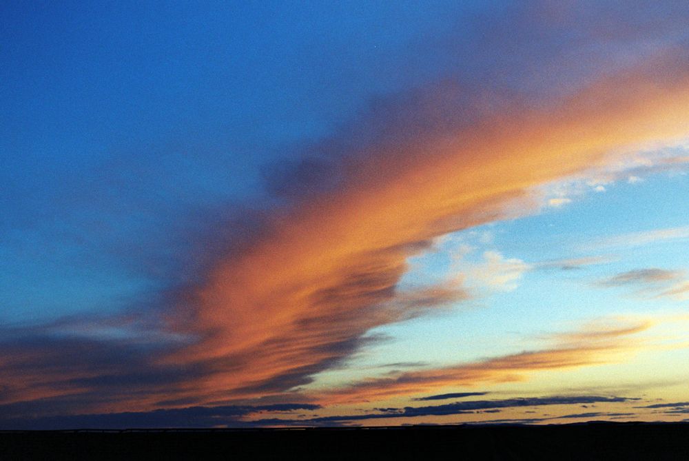 Creative Divine Studios|Activism Through Human Artistry