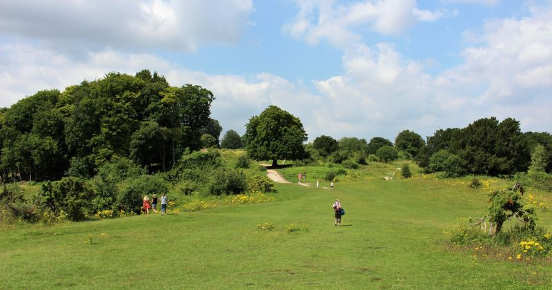 Visiting Danebury Iron Age Hill Fort, Hampshire
