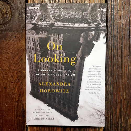 Horowitz, Alexander : ON LOOKING - Softcover Book | CAVITY CuriosityShop