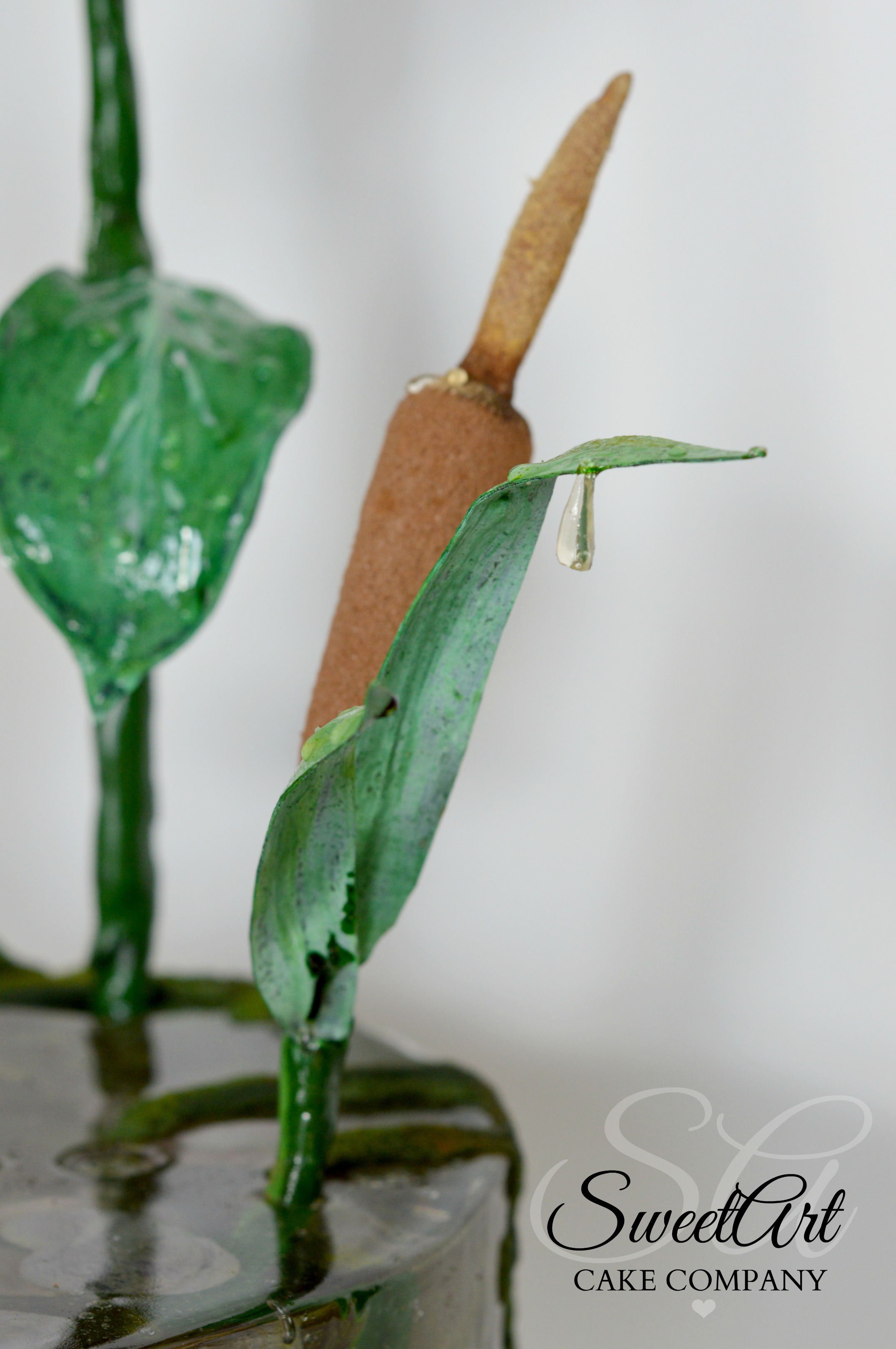 Competition Cakes from SweetArt Cake Company