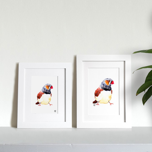 Zebra Finch | Nix Rowan