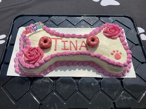 14"x9" Celebration Cake | Howlin