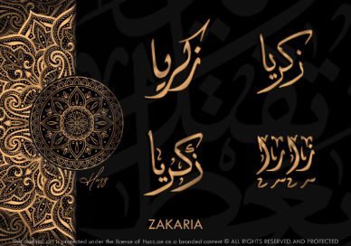 ZAKARIA IN ARABIC CALLIGRAPHY | Huzz.ae