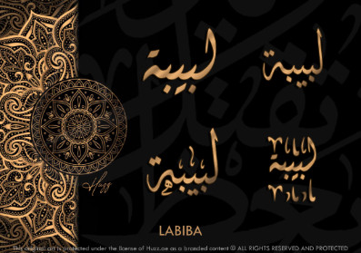 LABIBA IN ARABIC CALLIGRAPHY | Huzz.ae