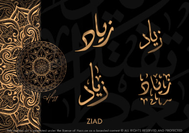 ZAID IN ARABIC CALLIGRAPHY | Huzz