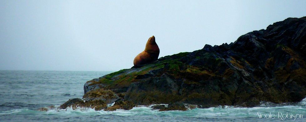 Alaska Wide Open Charters: Craig Alaska Fishing Charter