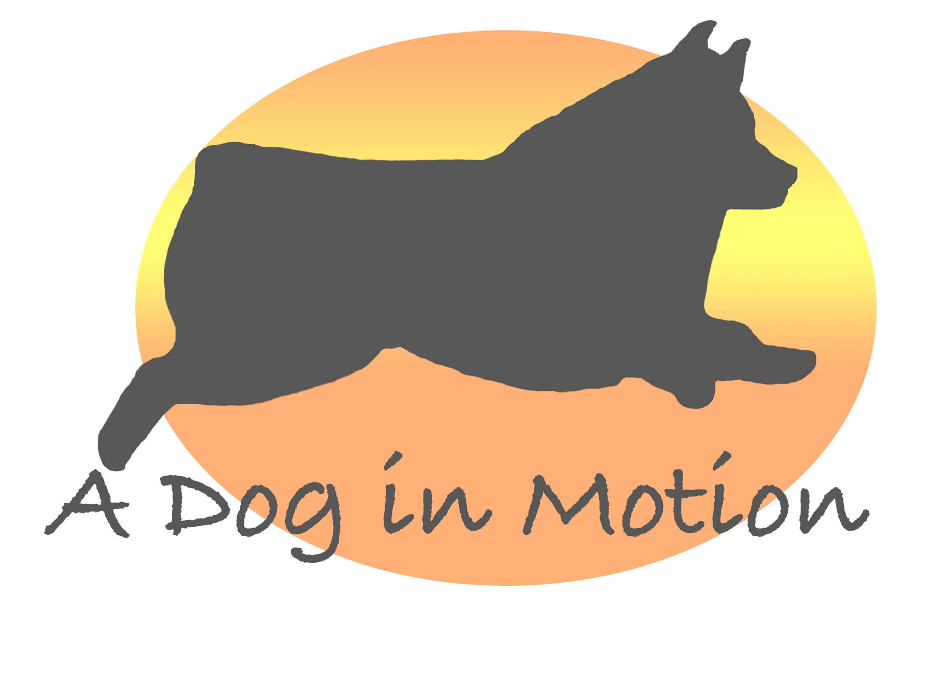 Agility | Pasadena CA | A Dog In Motion