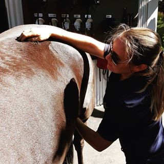 Small Animal Physio | Dubai UAE | Physio Evolution