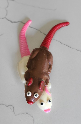 Solid Chocolate Rat | Mysite