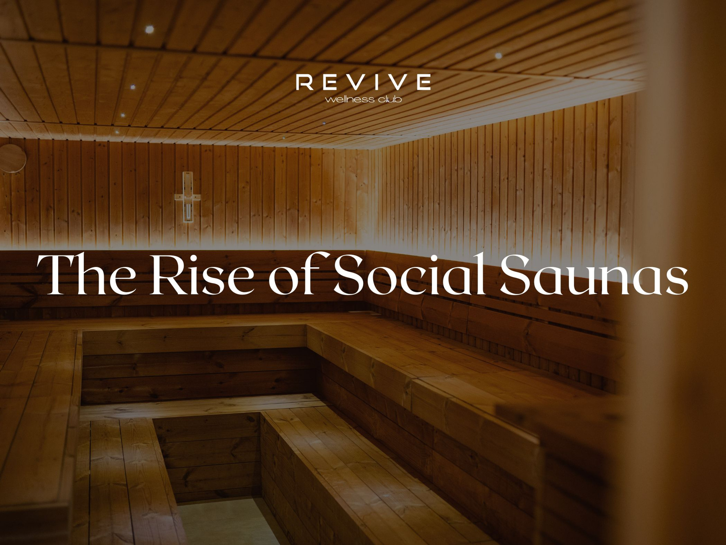 Revive Your Connections: The Rise of Social Saunas