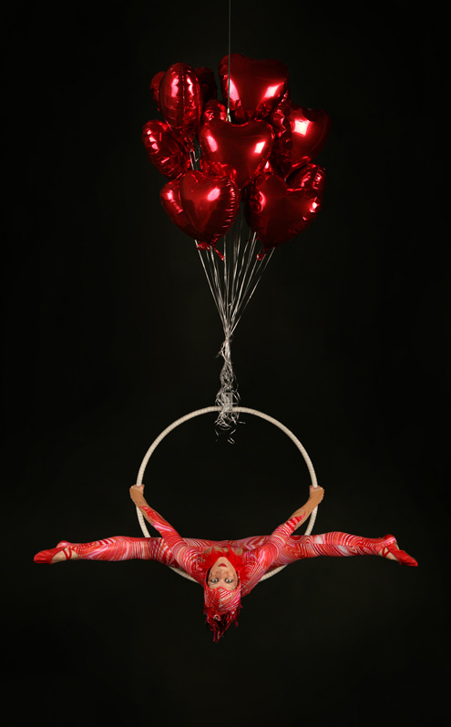 www.thedreamperformance.com/aerialhoop