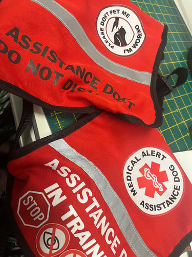 Budget Assistance & Service Dog Vest | 13 colours | Wuffable