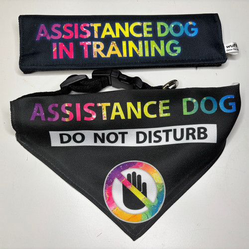 Rainbow lead wrap and bandana | Wuffable
