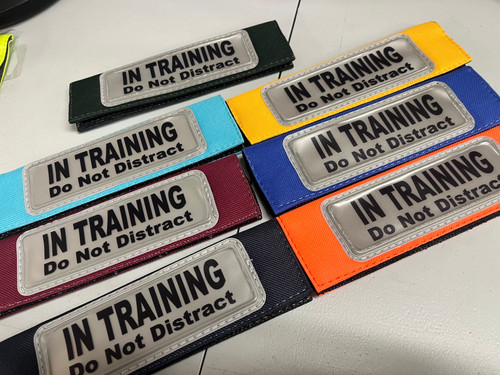 In training reflective patch lead wrap | Wuffable