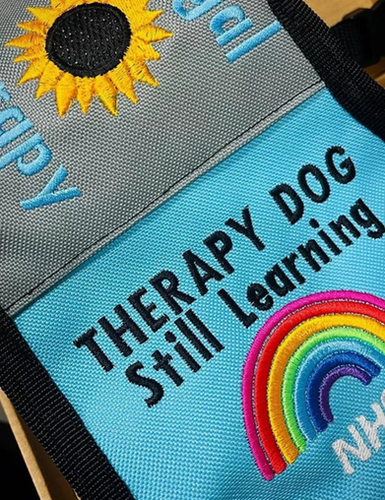 Custom Embroidered Therapy Dog Vest | Wuffable