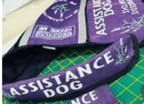 Chest slip | Wuffable