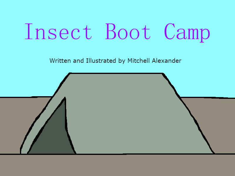 Insect Boot Camp