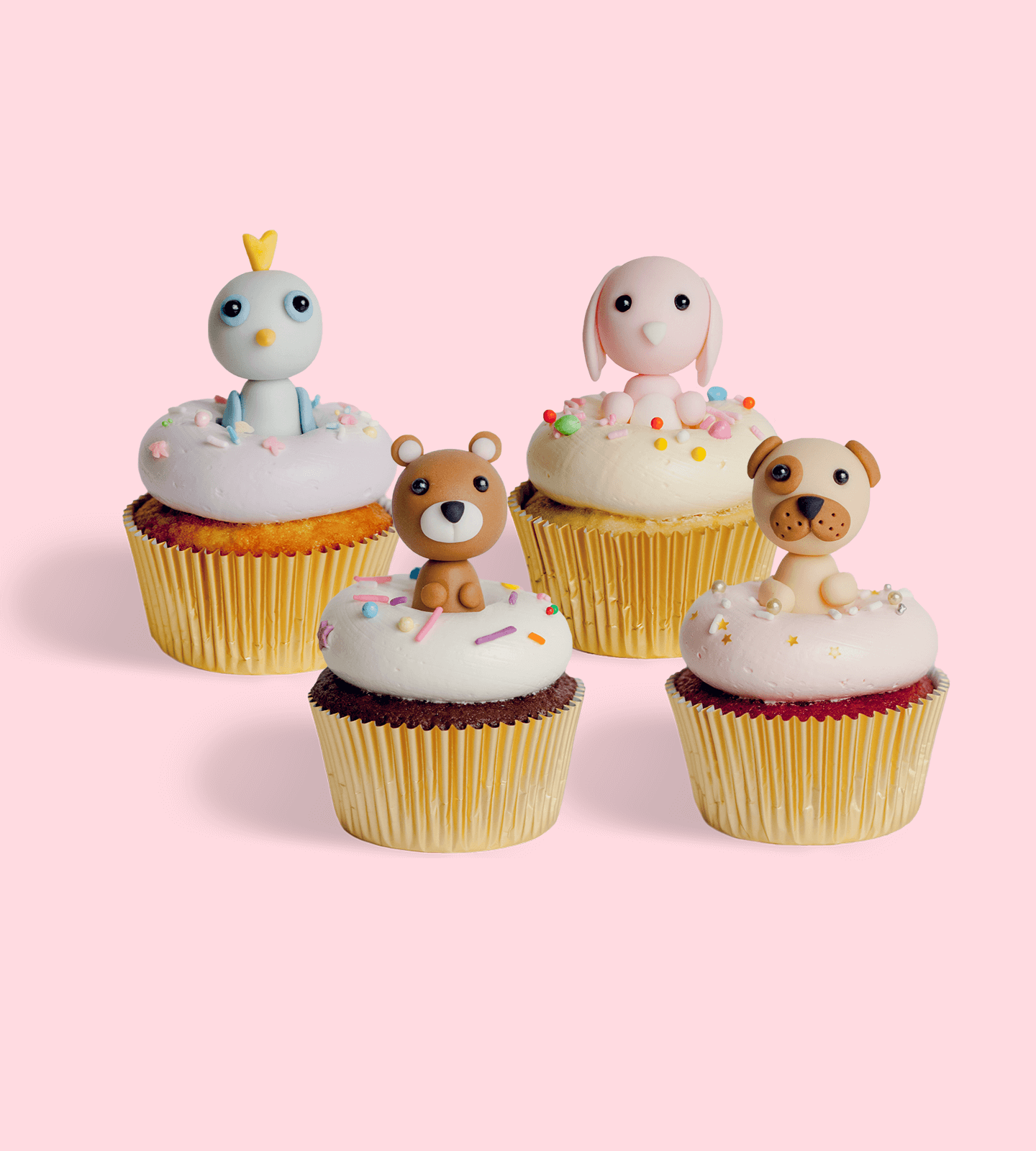 Our Adorable Packs –– A Cuter Cupcake