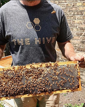 The Hive: Chicago's Beekeeping Supply Store
