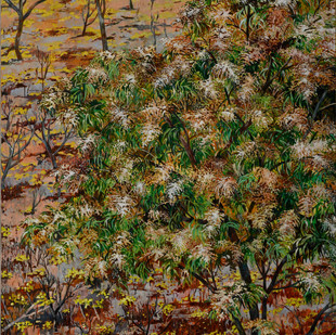 Available Works | Nat Ward Artist | Contemporary Art