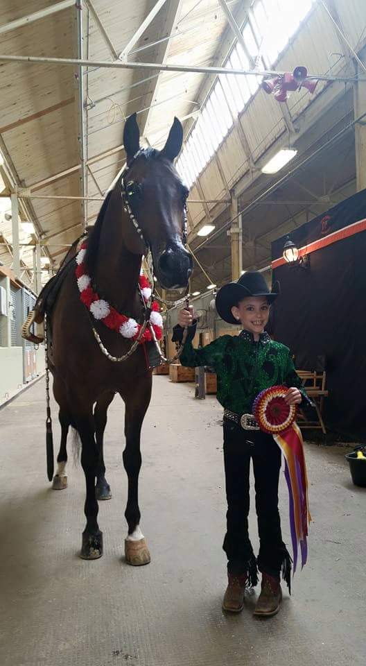 DF Perfomance Horses