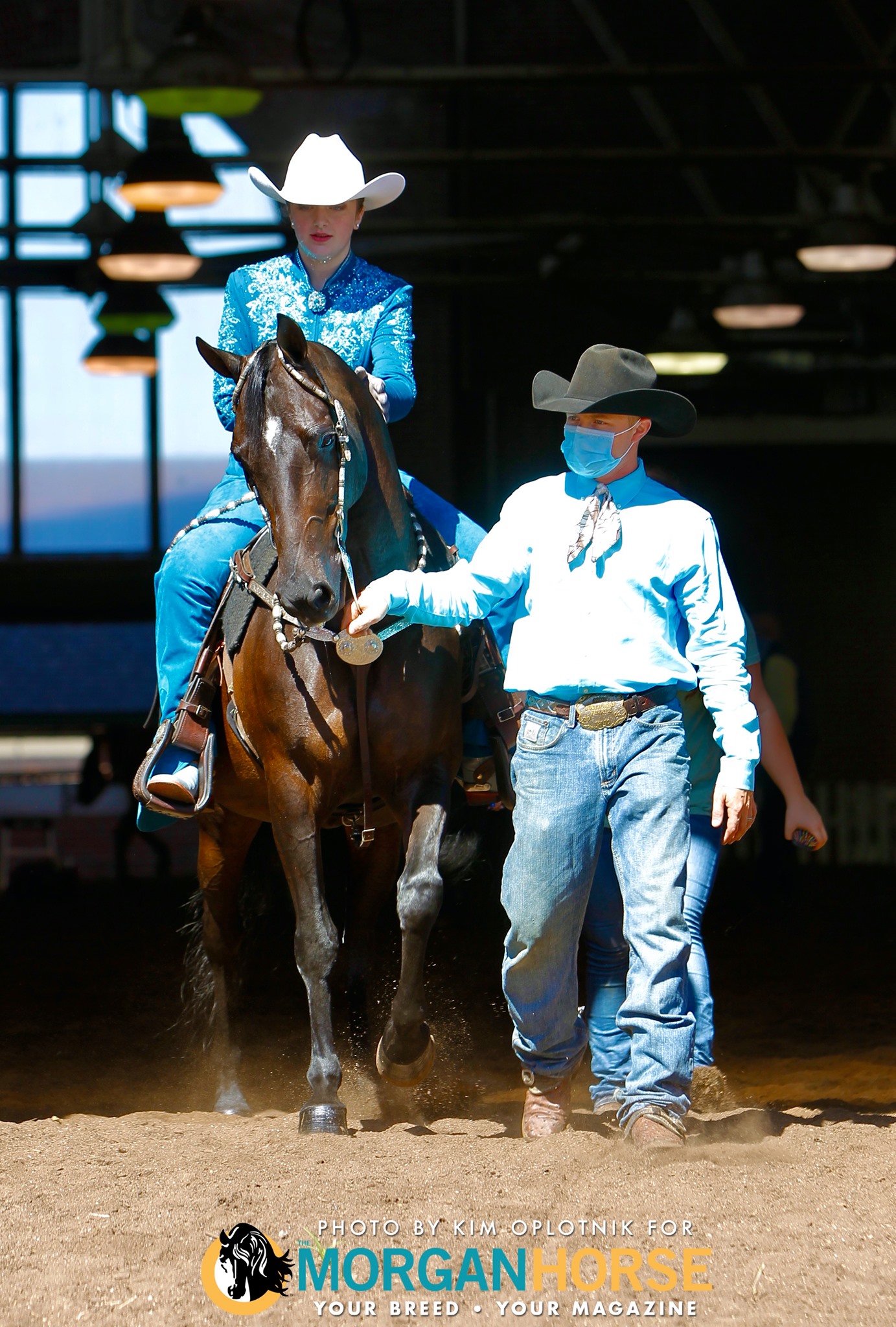 DF Perfomance Horses