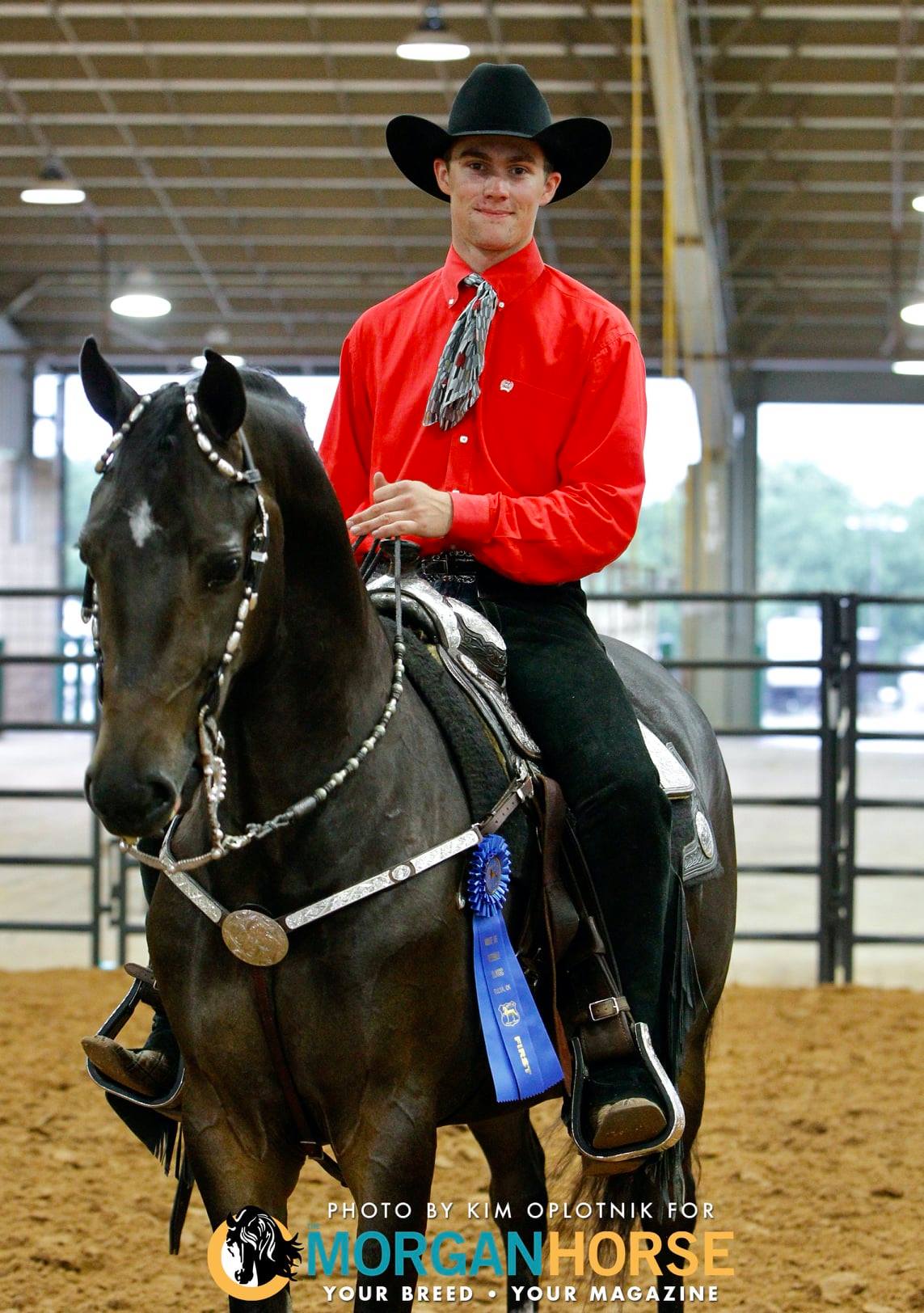 DF Perfomance Horses