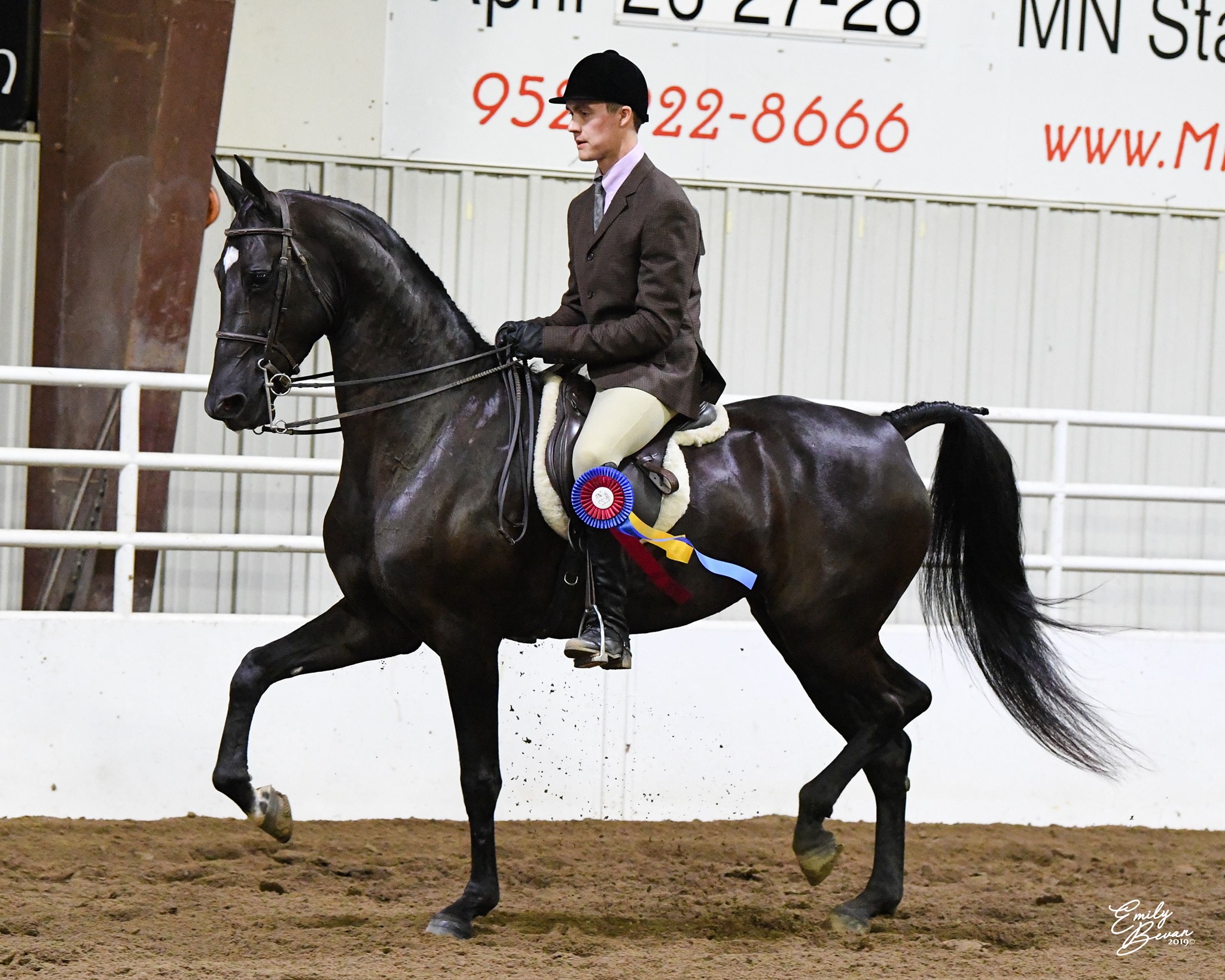 DF Perfomance Horses