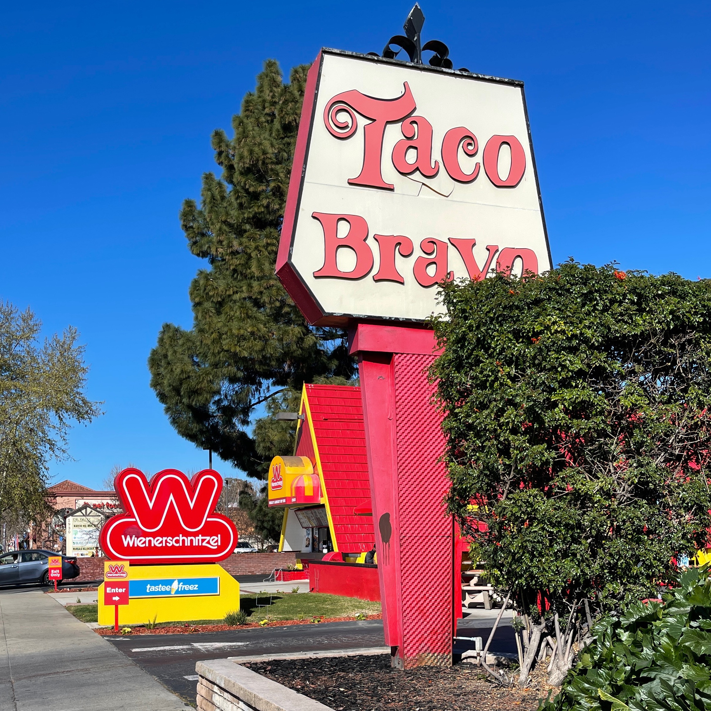 Taco Bravo