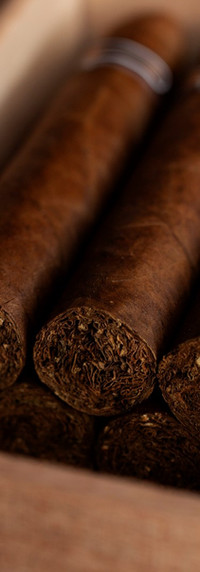 sfeer | Barque à Jack