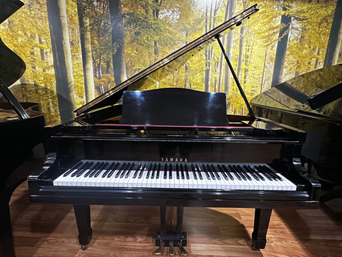 Yamaha C2 Grand Piano | Petrof Piano House