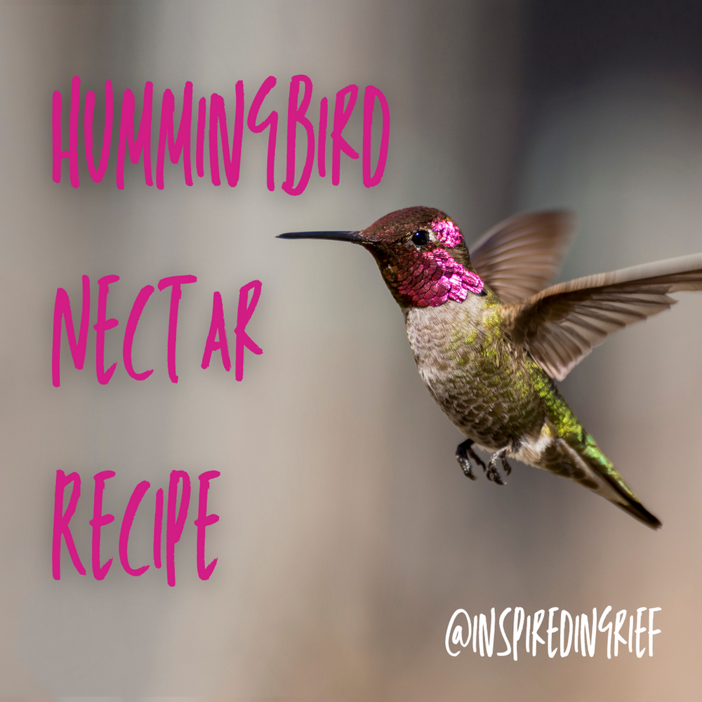 Hummingbird Nectar