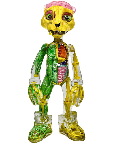Anatomy Toy | Guldhart.com