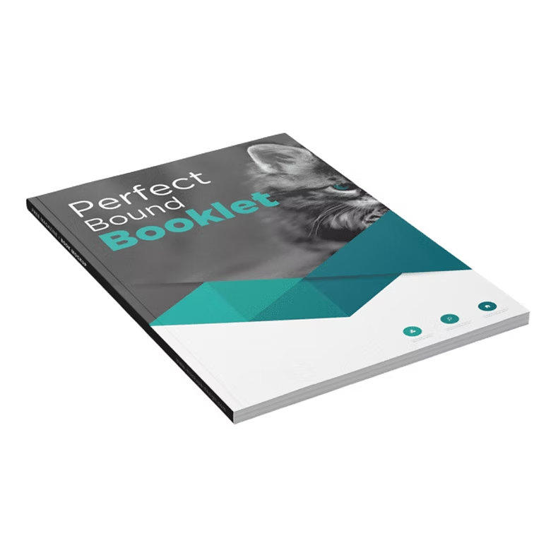 Professional Booklet Printing in SG | Perfect Bind Booklets
