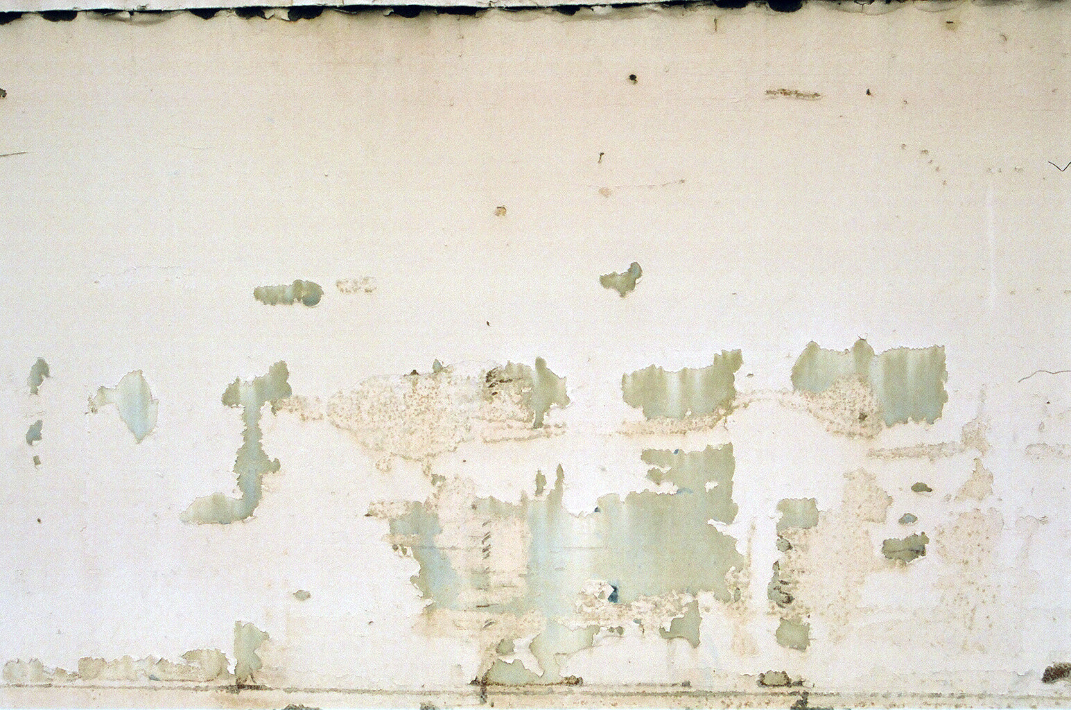 Fullscreen Page | eileen li